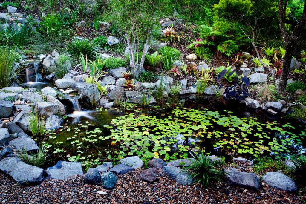 How Waterscapes Builds Fish Ponds in Australia - Waterscapes Australia