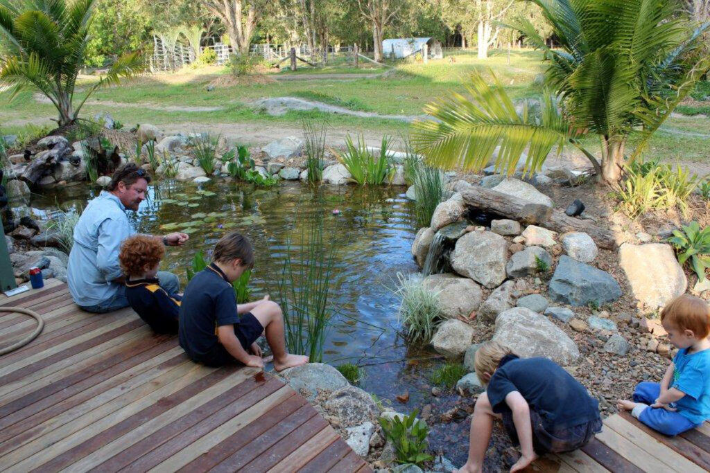 How Waterscapes Builds Fish Ponds in Australia - Waterscapes Australia