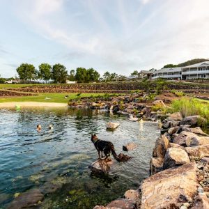 QLD Garden Expo | Waterscapes Australia Natural Garden Ponds